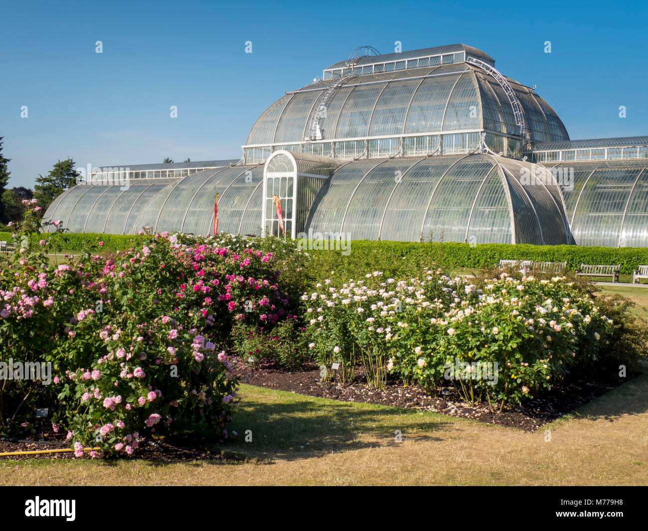 Rose beds and Palm House, Kew Gardens, UNESCO World Heritage Site, Kew ...