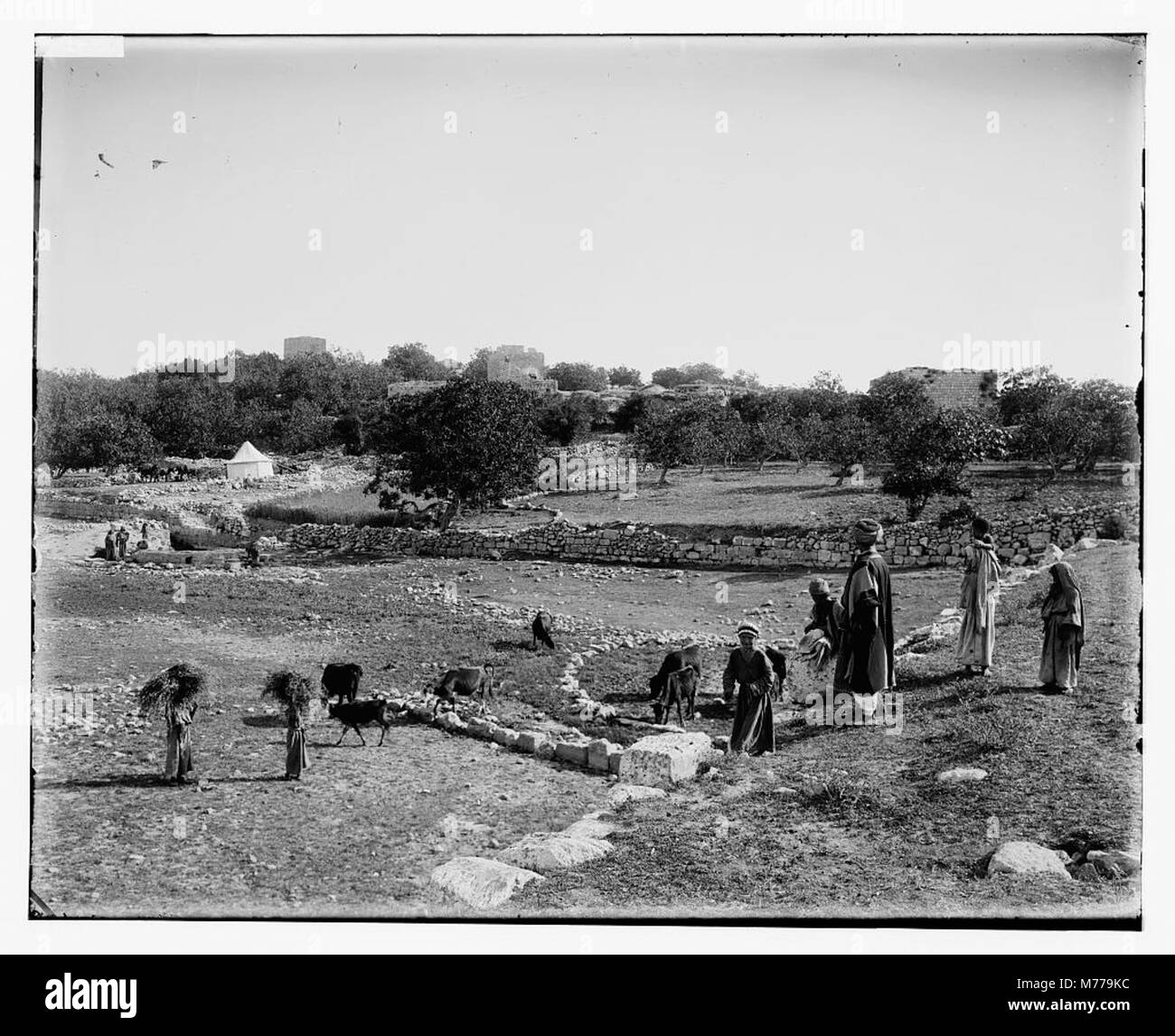 A typical Palestinian village is depicted in this image, showcasing the ...