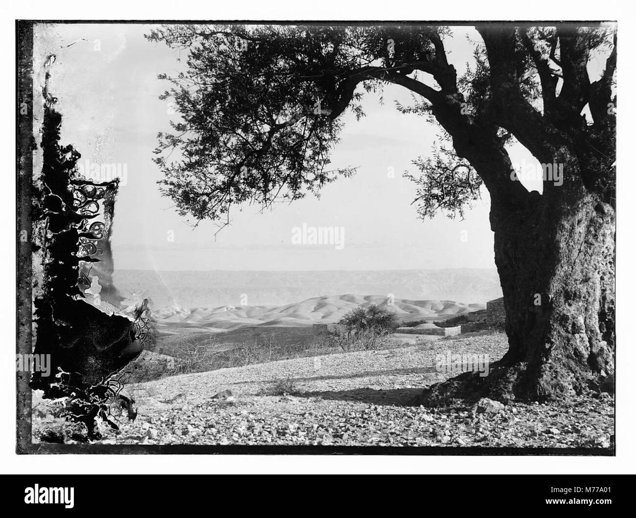 An unidentified photograph or artwork, requiring further context to ...