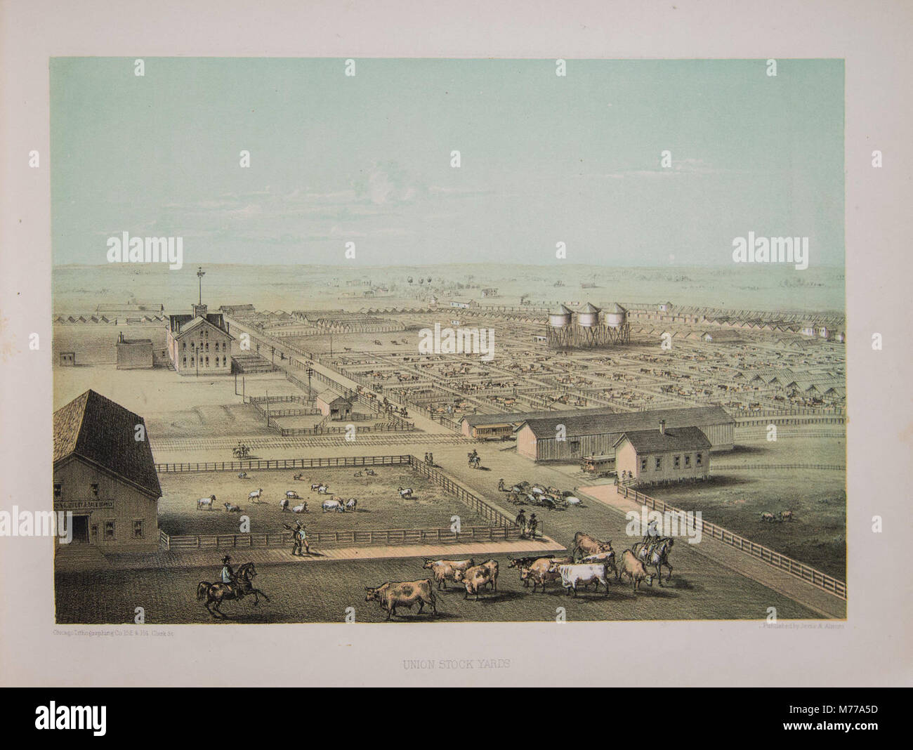 A historical image of the Union Stock Yards, showcasing the bustling ...
