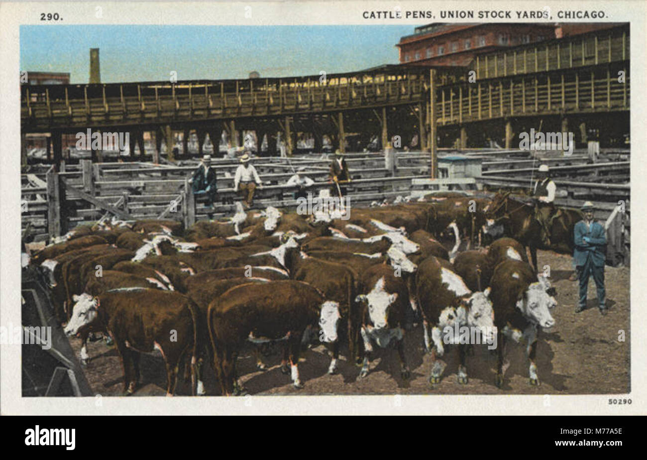 The Union Stock Yards, once a major livestock trading and meatpacking ...