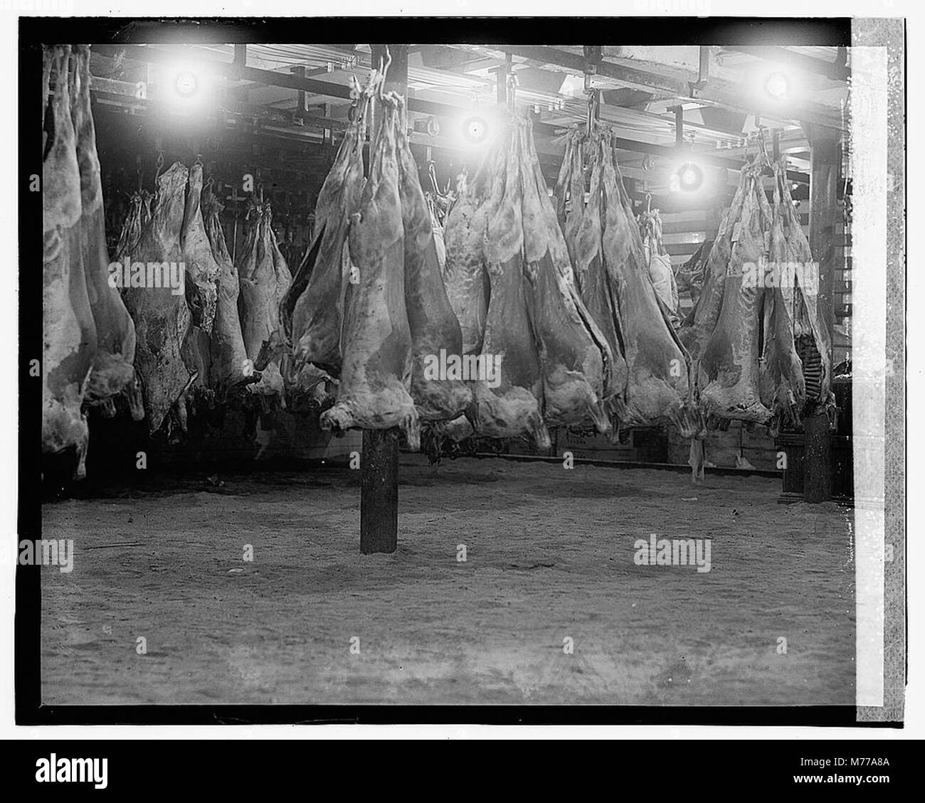 A photograph of beef in storage, highlighting the food preservation ...