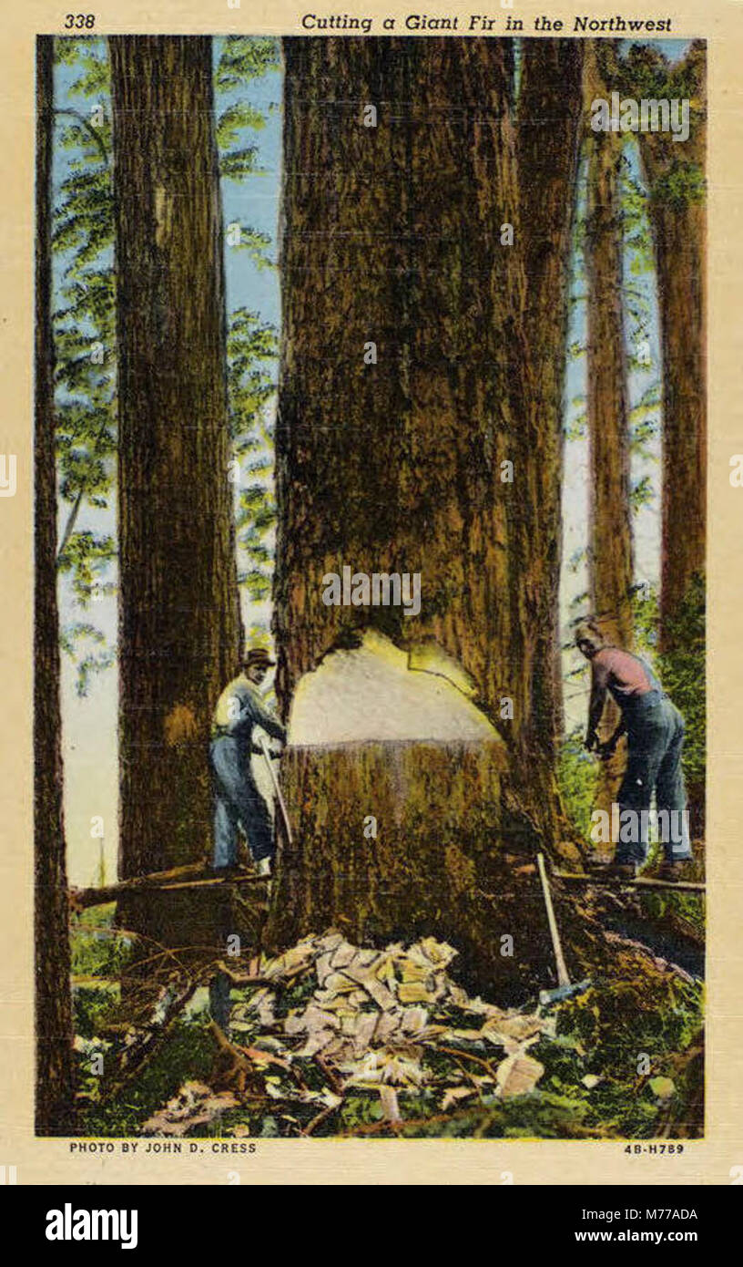 Timber culture act hi-res stock photography and images - Alamy