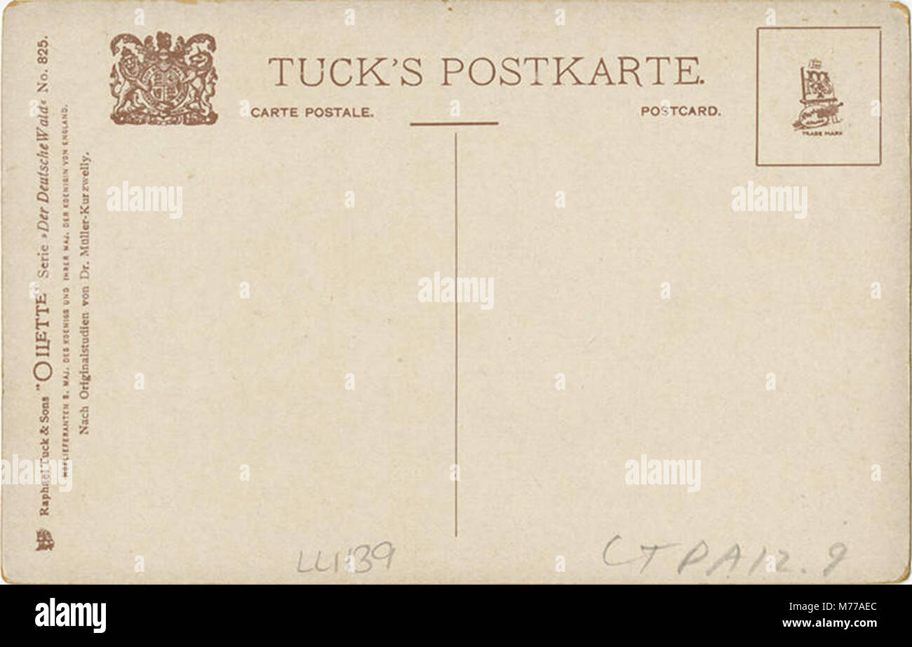 A scenic representation of the German forest landscape, captured in a ...