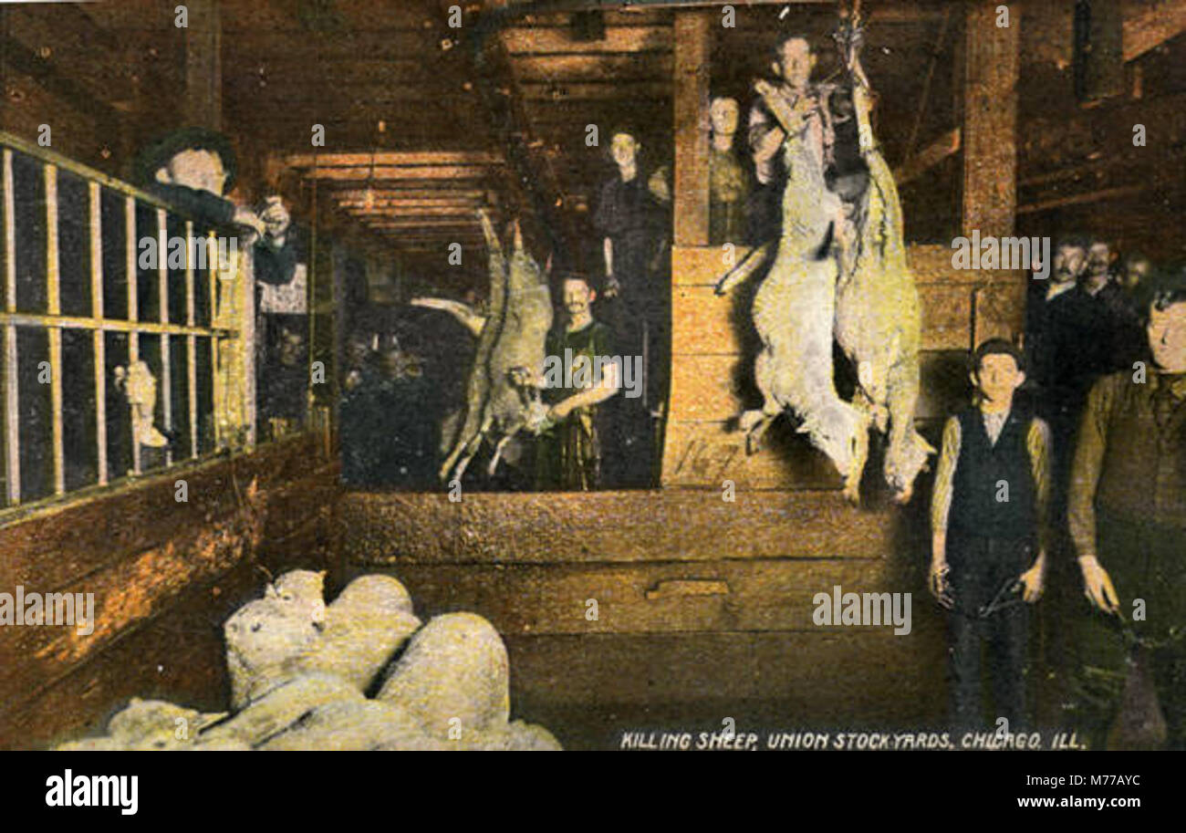 An industrial scene focusing on meat processing, highlighting the scale ...