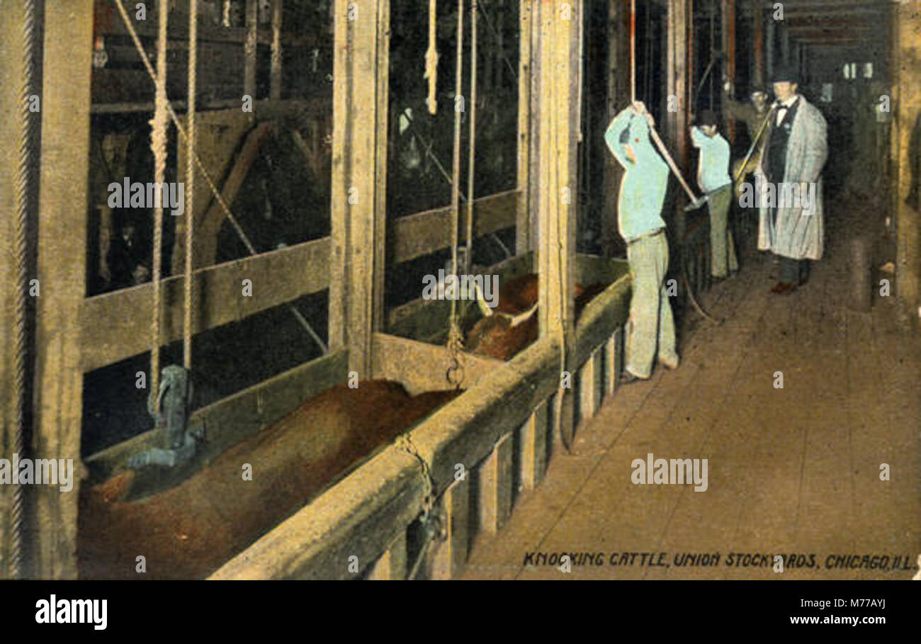A historical photograph or exhibit titled 'Industry, Meat ...