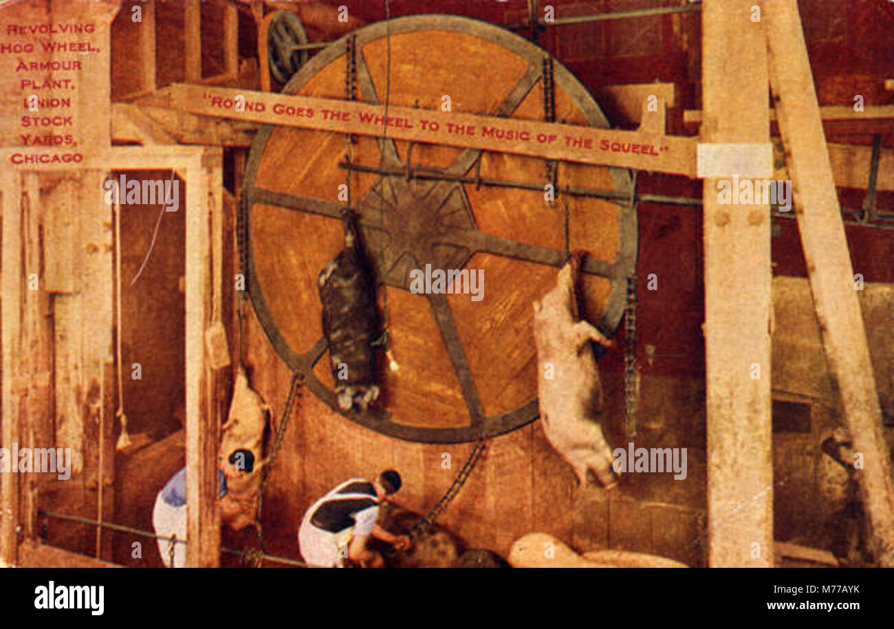Meat industry 19th century hi-res stock photography and images - Alamy