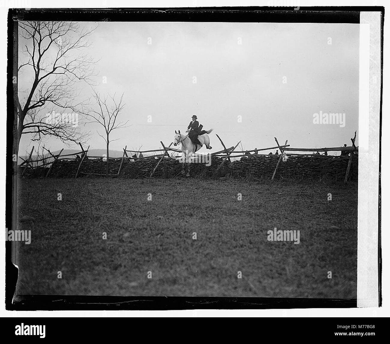 Virginia fox hi-res stock photography and images - Alamy