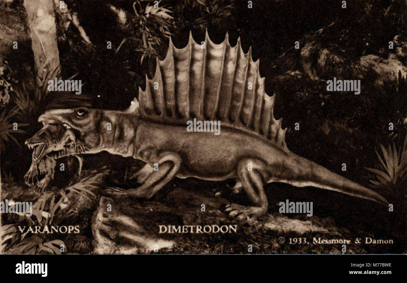Illustration of Varanops and Dimetrodon, two prehistoric reptiles from ...