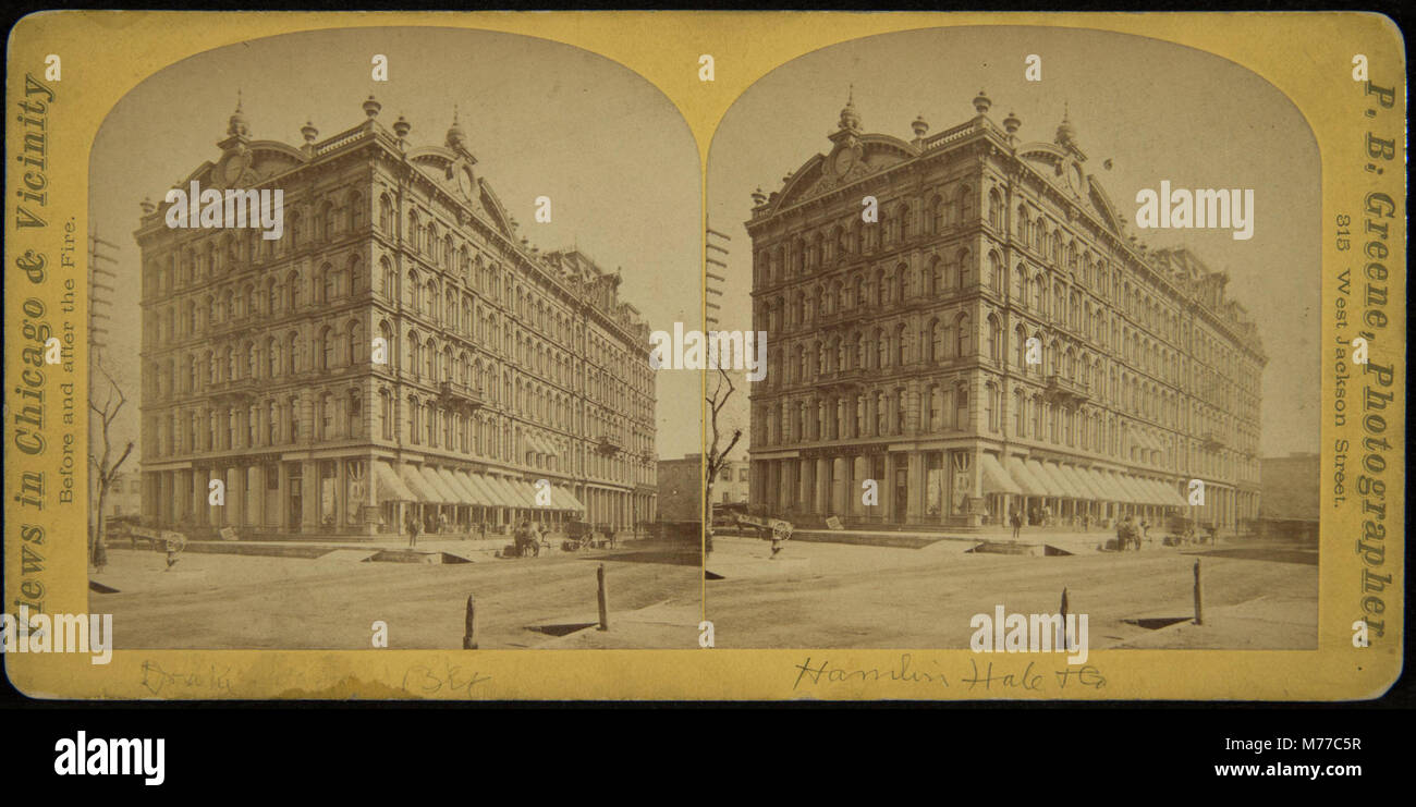 This series of images captures views of Chicago and its vicinity before ...