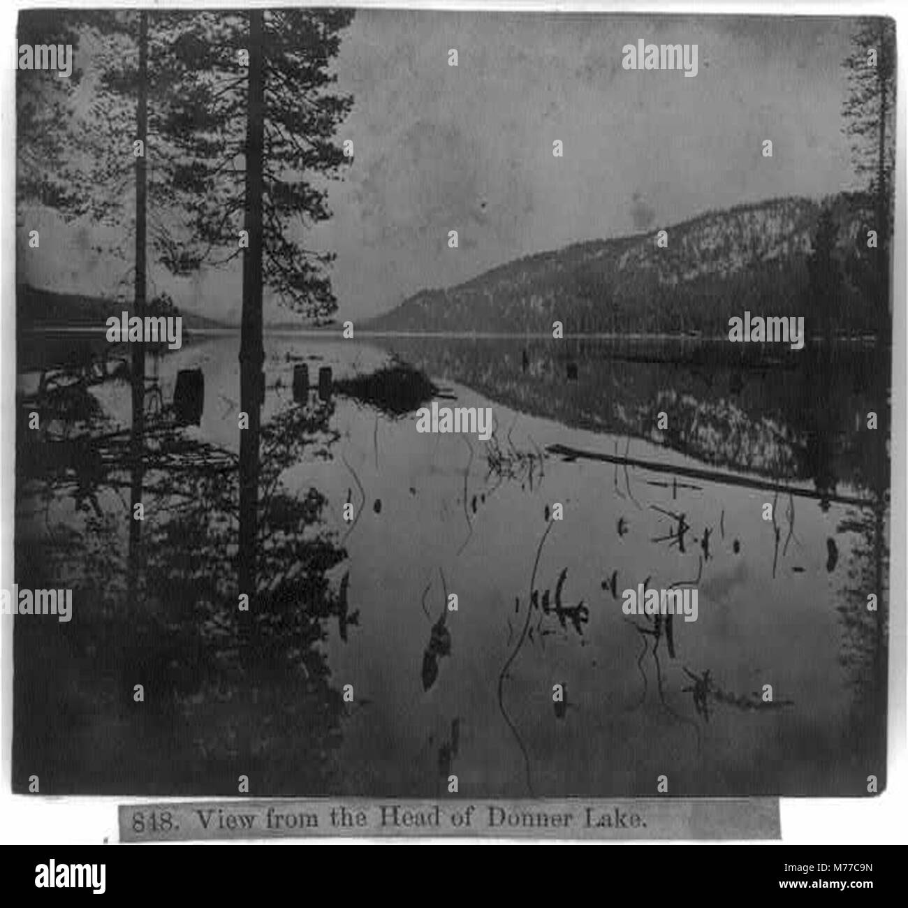 A scenic view of Donner Lake, showcasing the landscape and surrounding ...