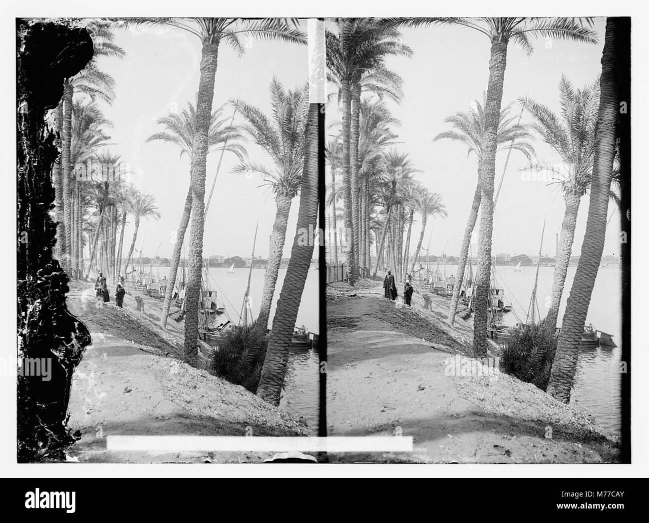 View looking down the Nile, Cairo LOC matpc.11417 Stock Photo - Alamy