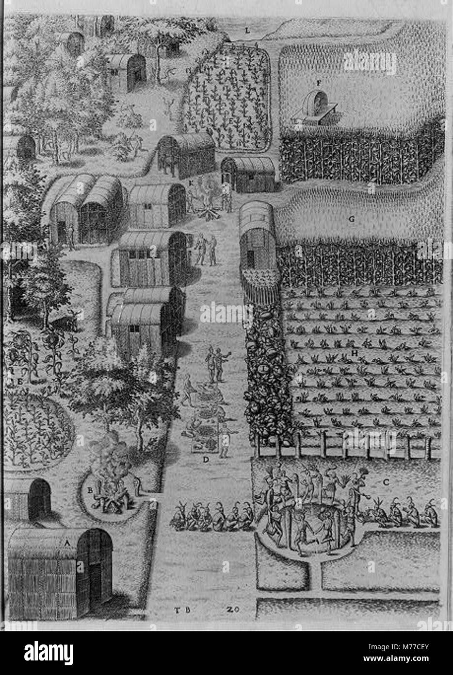 A historical image of the Village of Secotan, an Indigenous community ...