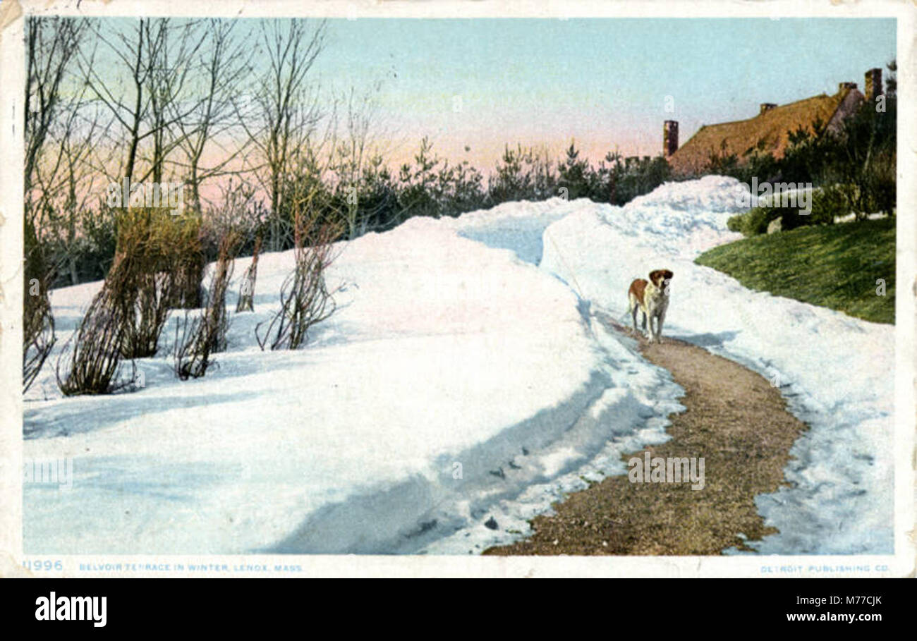 A scenic winter view of Belvoir Terrace, highlighting the serene ...