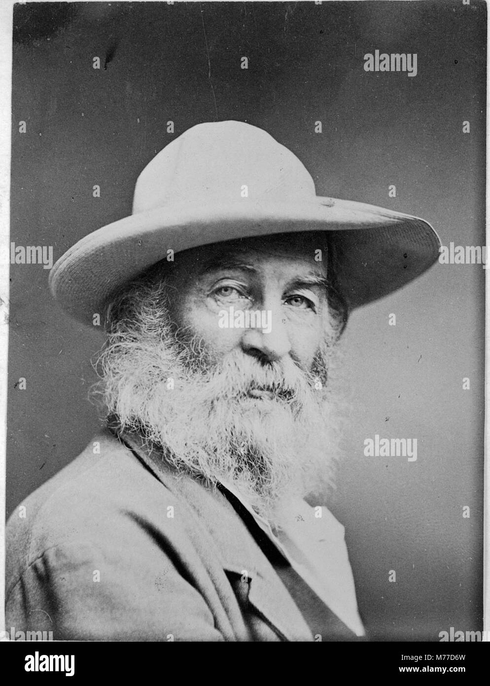 This portrait shows Walt Whitman, the American poet, facing forward and ...