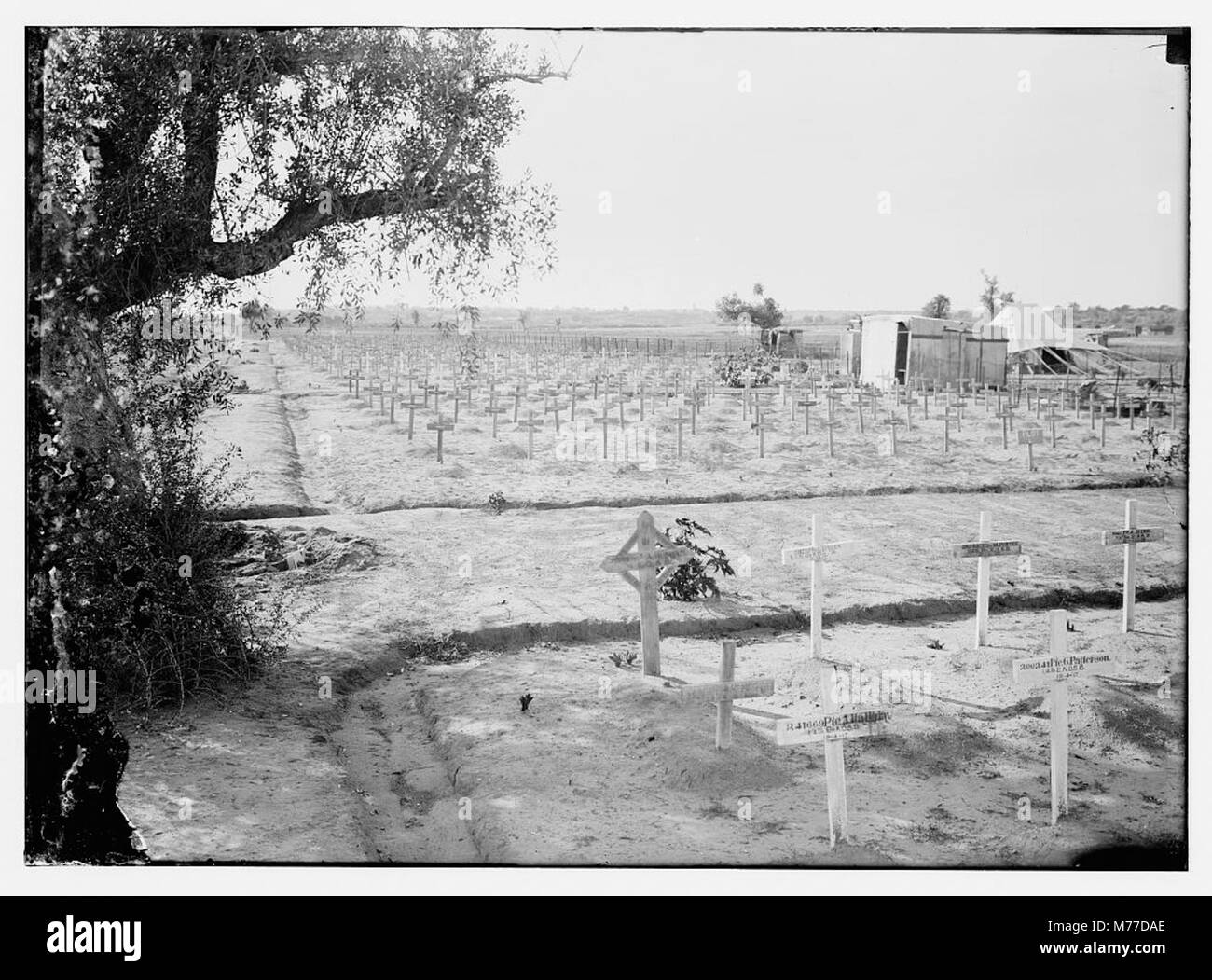 Gaza War Cemetery High Resolution Stock Photography and Images - Alamy