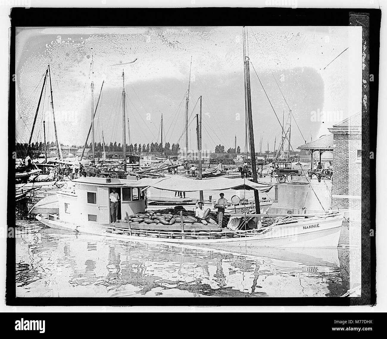 This photograph captures a serene waterfront scene, highlighting the ...