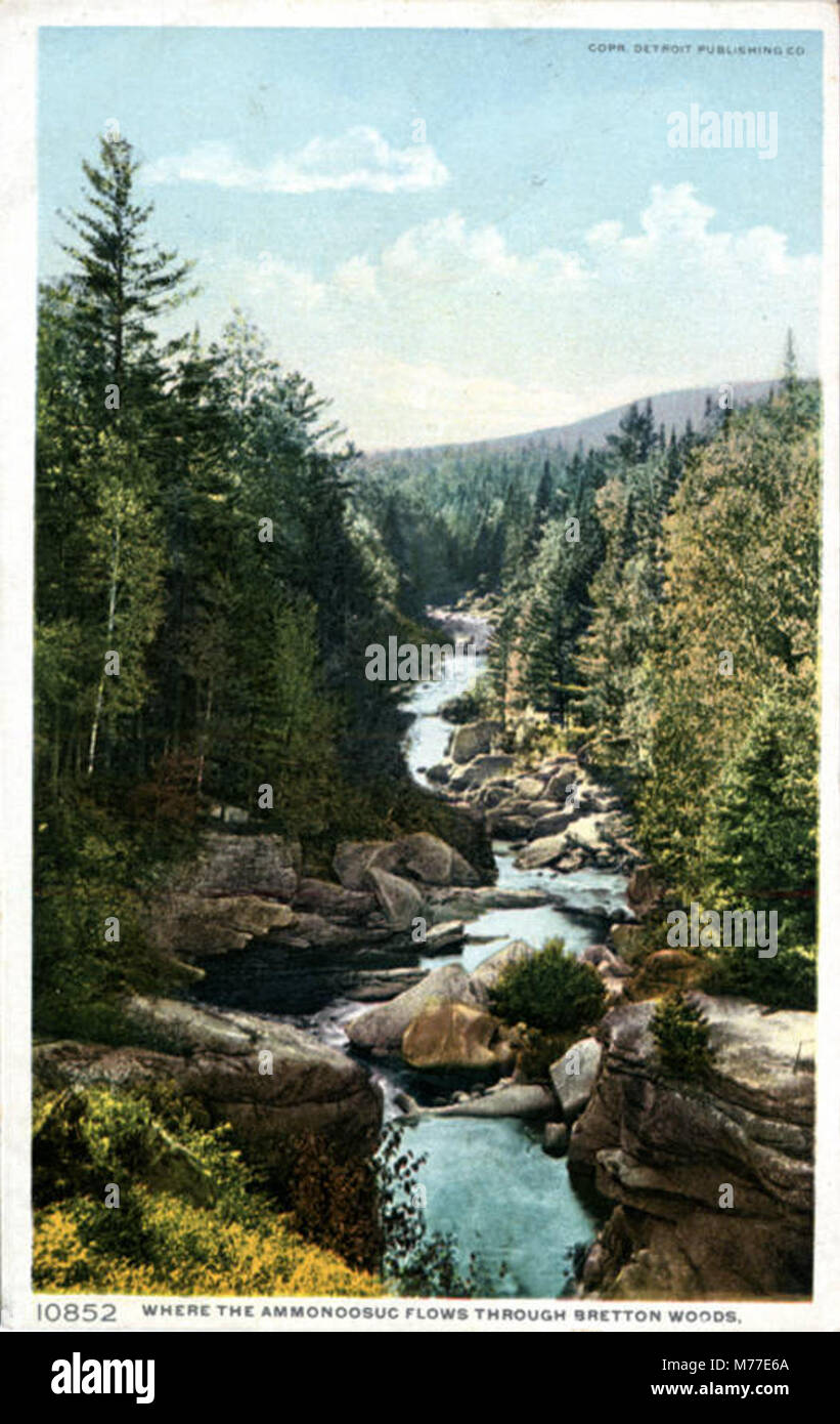 A scenic view of the Ammonoosuc River flowing through Bretton Woods ...