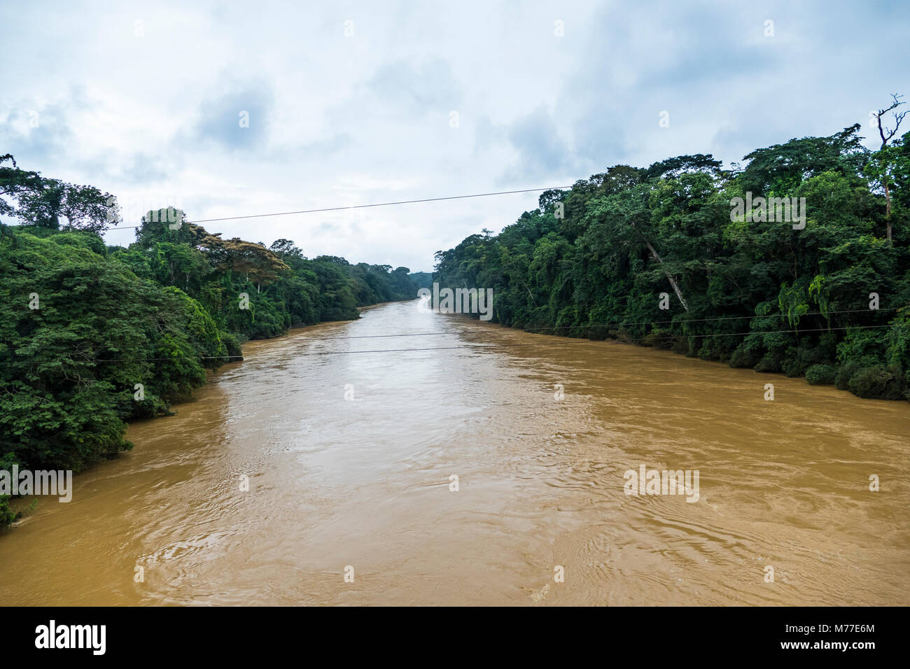 Manyu River in the jungle of Southwest Cameroon, Africa Stock Photo - Alamy