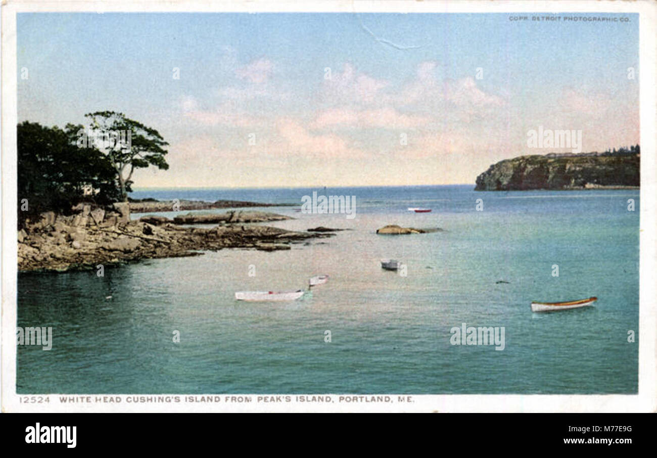 Photograph showing the view of White Head on Cushing's Island from Peak ...