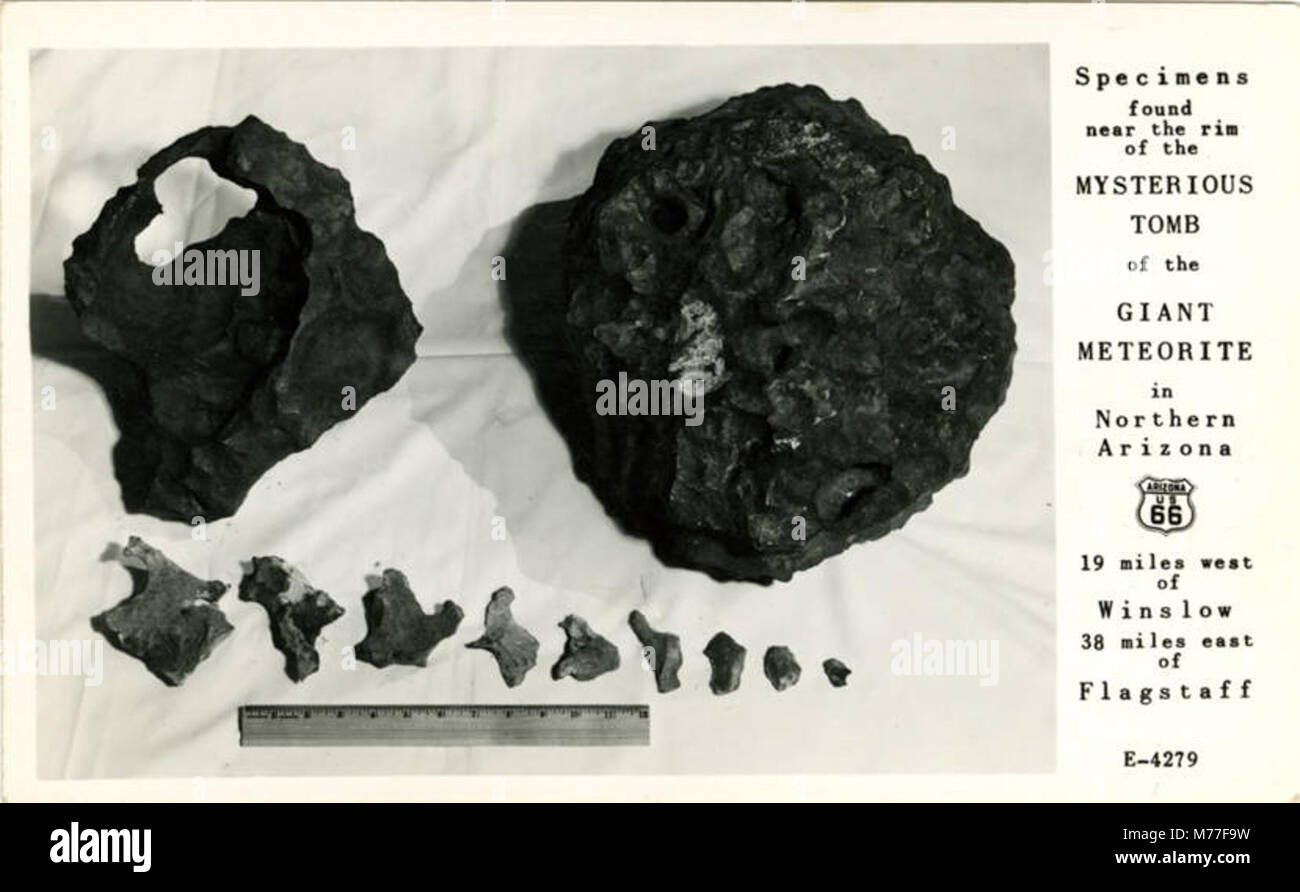 This photograph showcases meteorite specimens from Winslow, Arizona ...