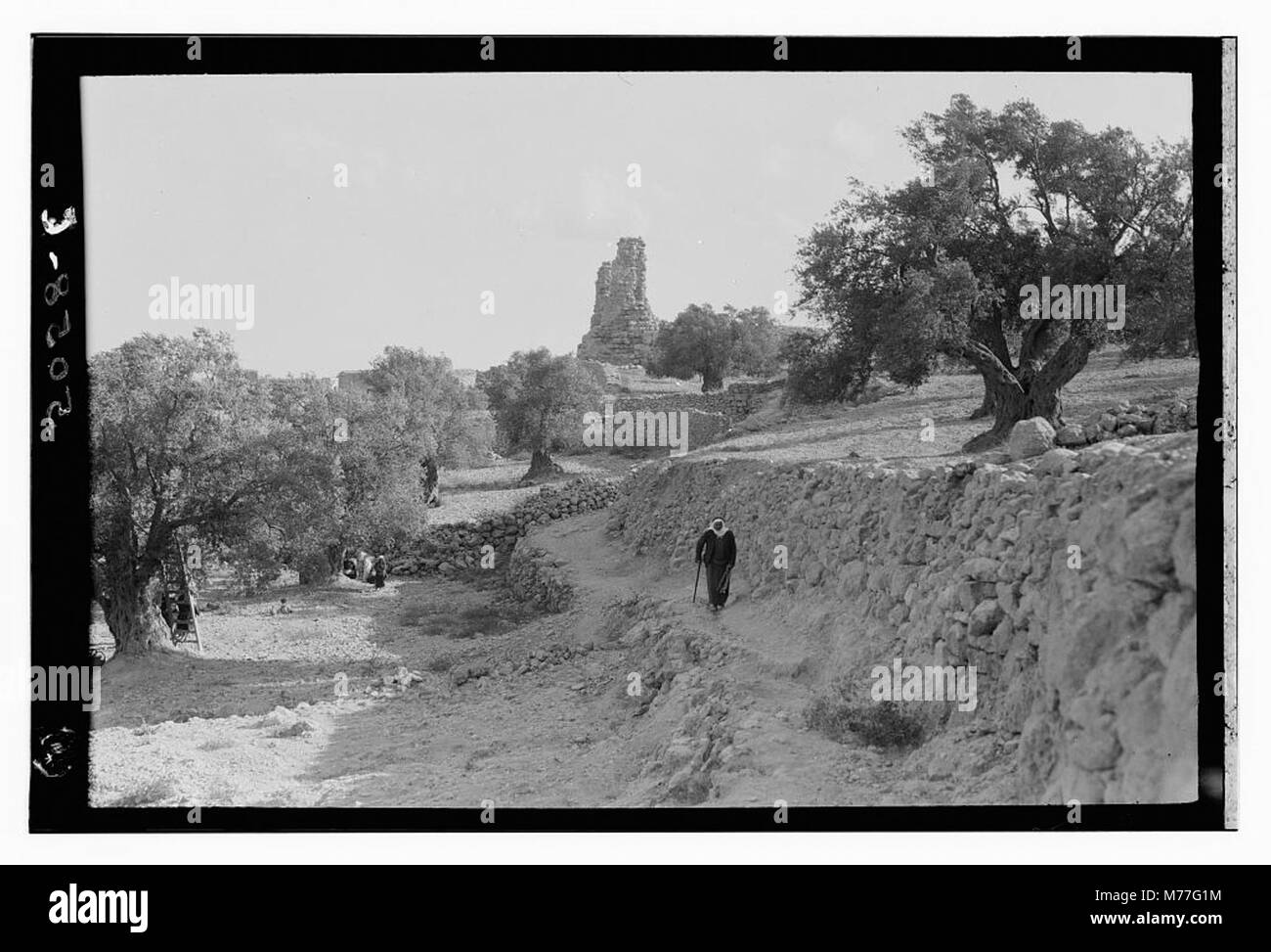 Photograph of Bethany, the House of Simon the Leper, an important site ...