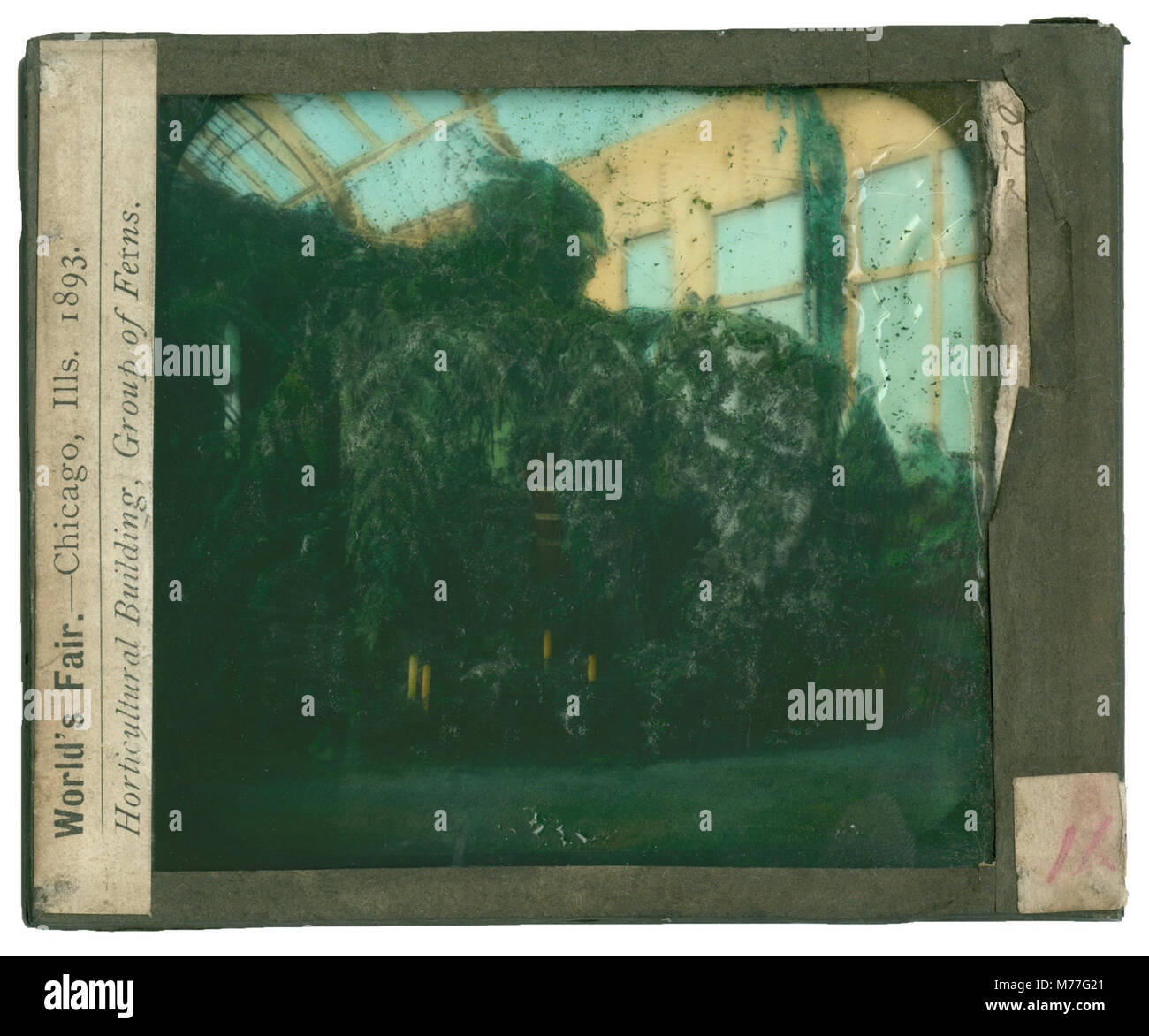 World's Columbian Exposition lantern slides, Horticultural Building ...