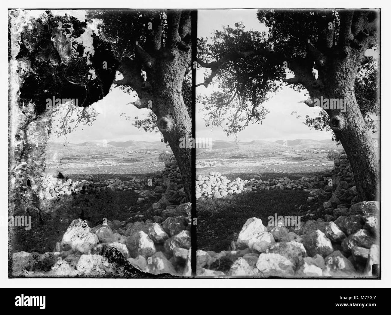 A depiction of both the upper and lower parts of Bethlehem, showcasing ...