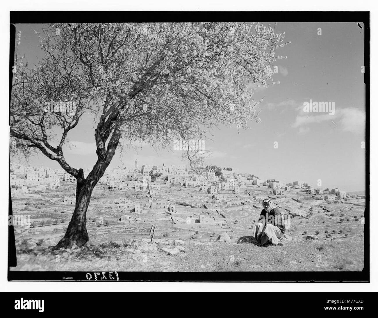 A photograph of Bethlehem taken from the south, showing the city's ...