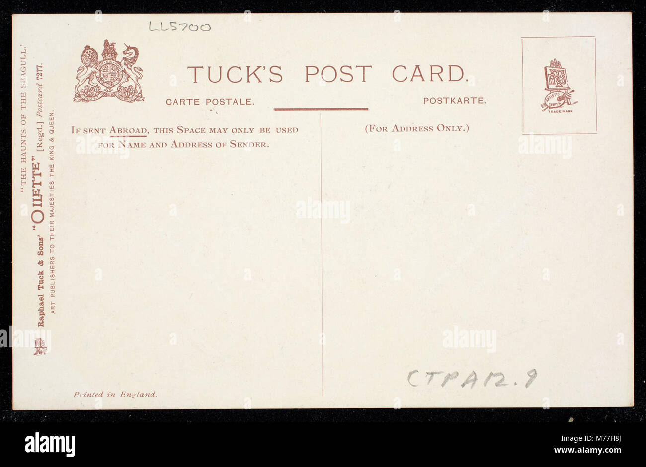 A scenic view of birds on the Cornish coast, showcasing the natural ...