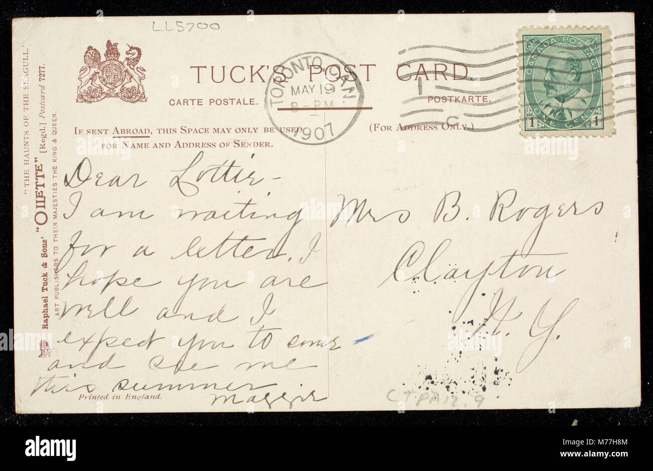 The image shows birds along the Cornish coast, capturing their natural ...