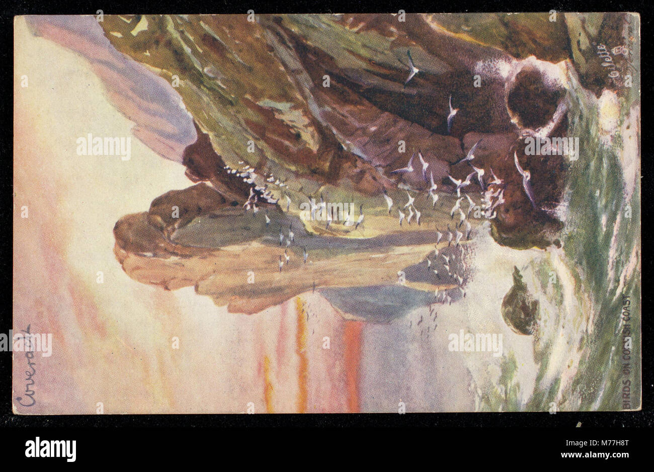 This image shows birds on the Cornish Coast, reflecting the region's ...