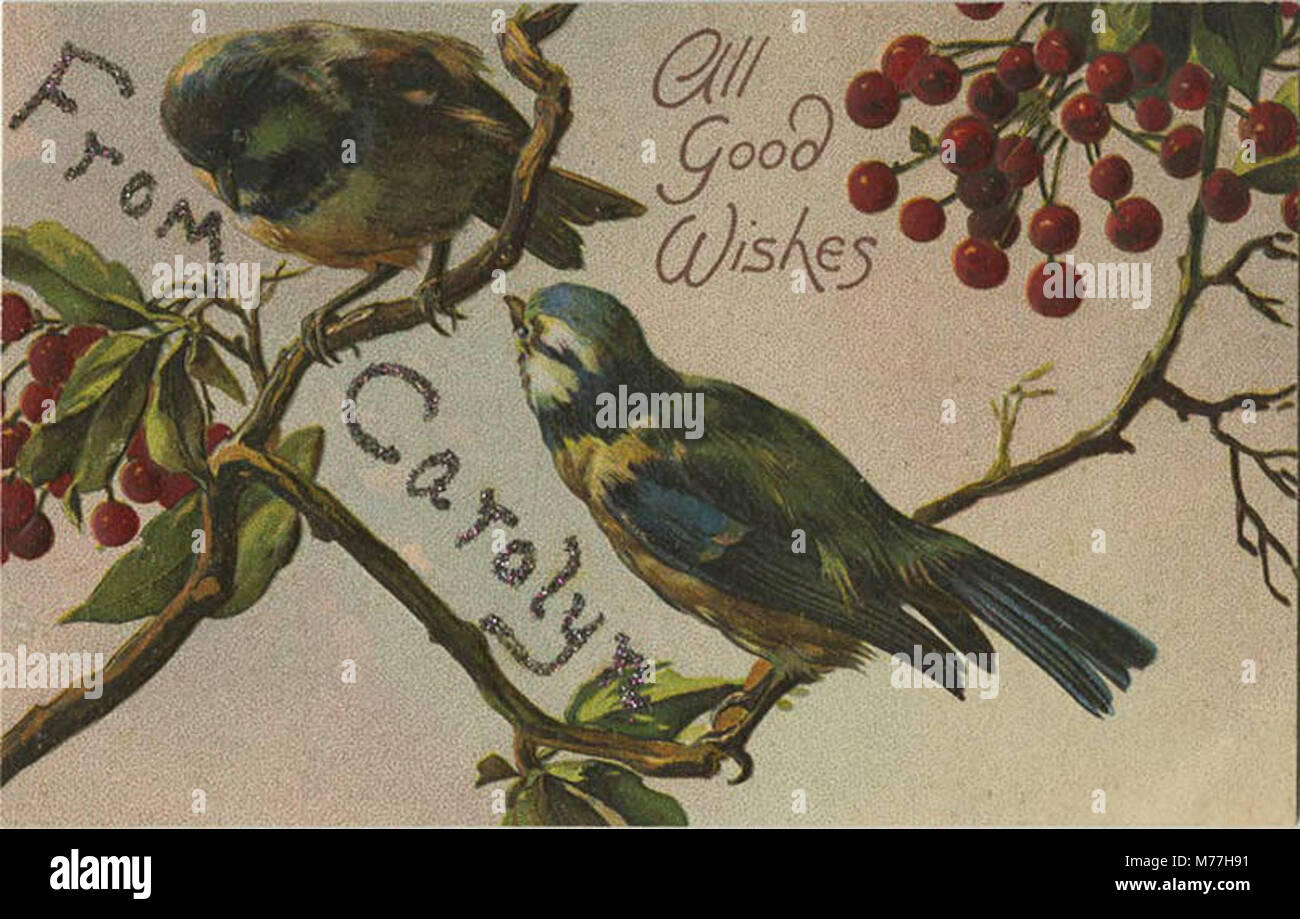 A sample postcard from the Bird Card Series by B. A. Proctor ...
