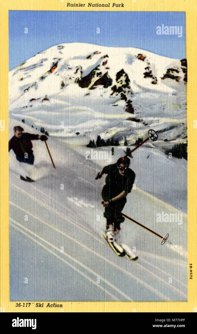 A dynamic photograph of two men skiing downhill in Rainier National ...