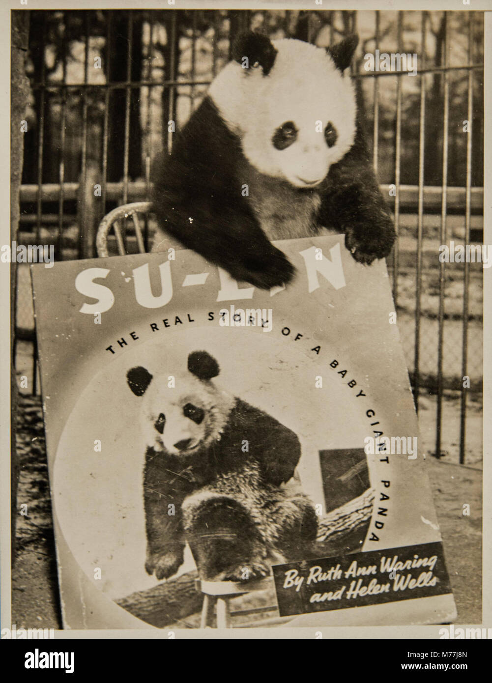 A promotional photograph featuring the book 'Su Lin,' showcasing its ...