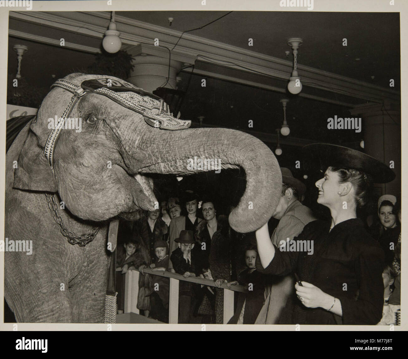 The book 'The Elegant Elephant' from 1947 was a work of literature that ...