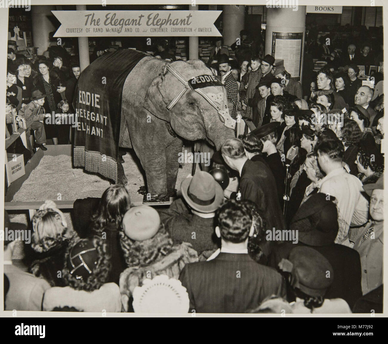 A promotional image for 'The Elegant Elephant,' a book published in ...