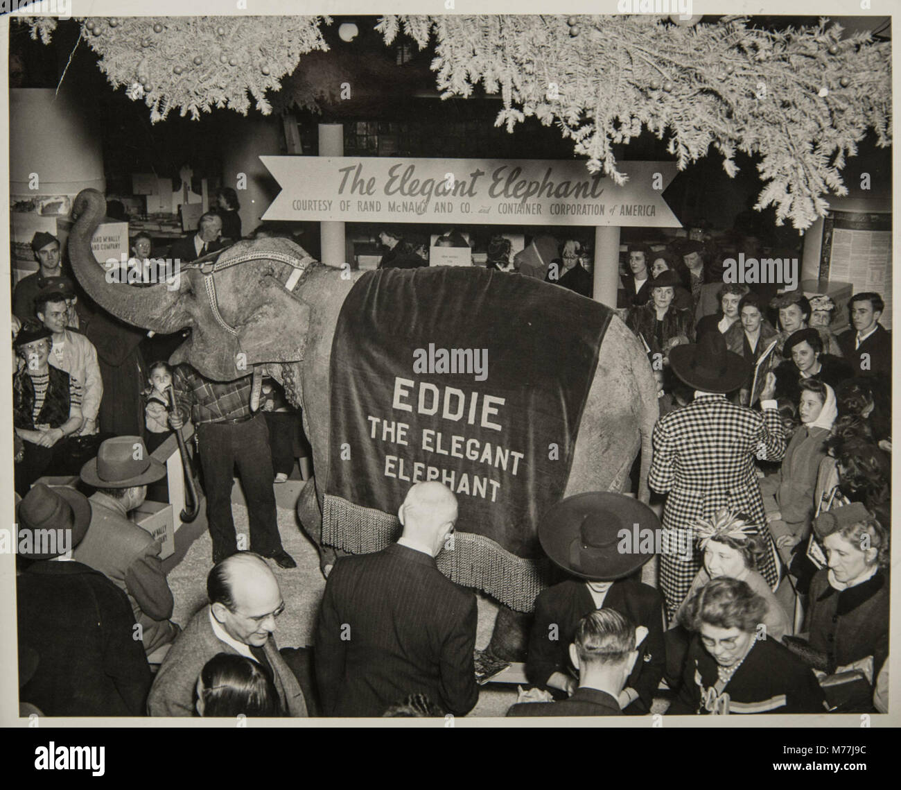 5253 High Resolution Stock Photography and Images - Alamy