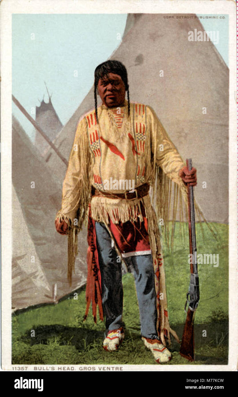 A depiction of a Bull's Head from the Gros Ventre tribe, capturing the ...