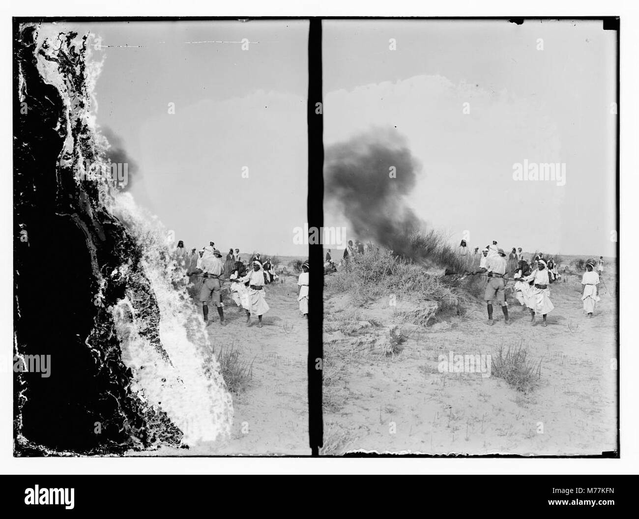 A photograph of a burning locust, possibly depicting the destruction or ...