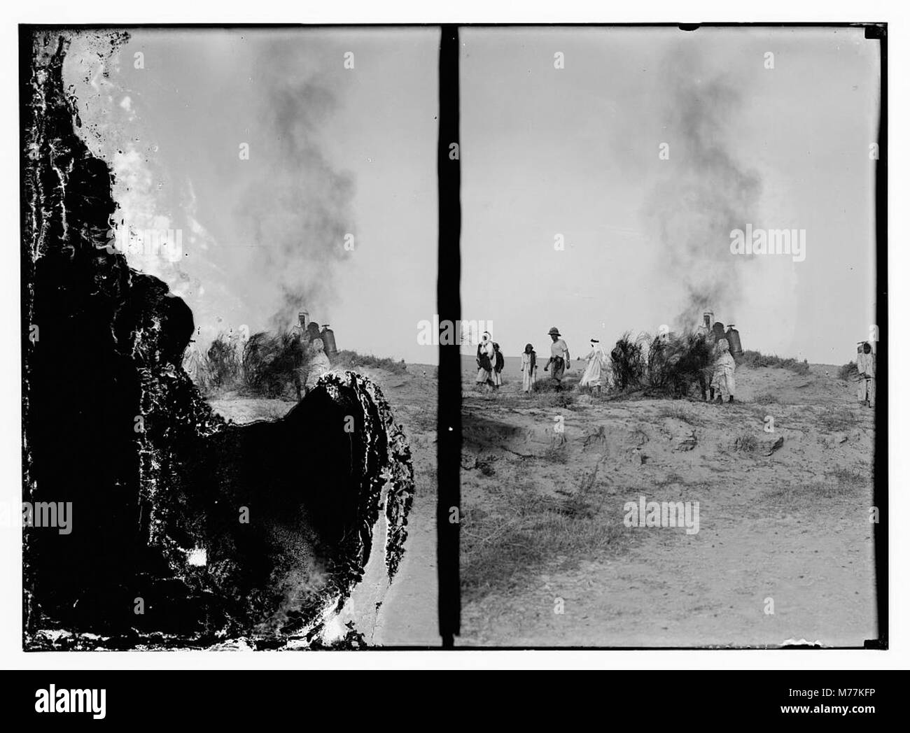 A close-up image of a burning locust, depicting the insect’s detailed ...