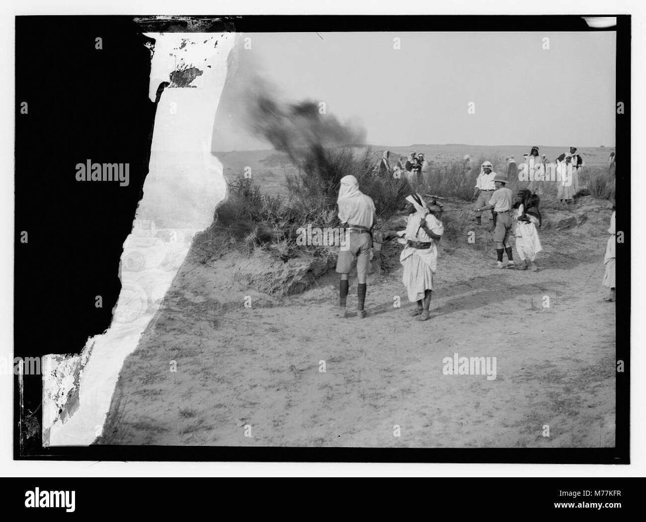 This image shows a locust on fire, potentially representing a pest or a ...