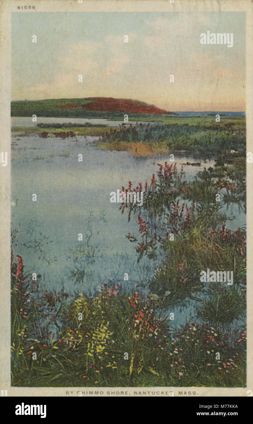 A photograph taken along the Shimmo Shore, showcasing the coastal ...