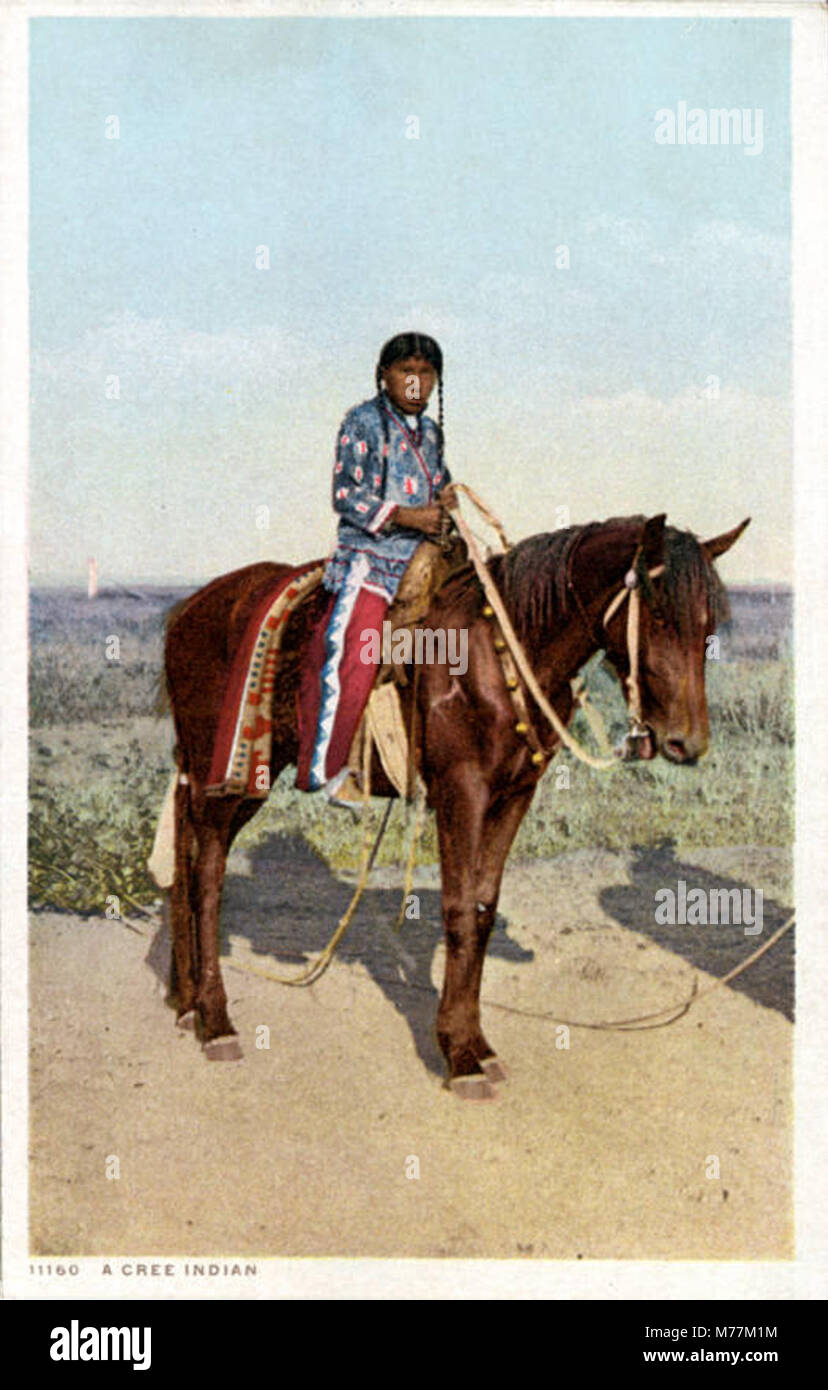 A photograph of a Cree Indian, offering a historical view of Native ...