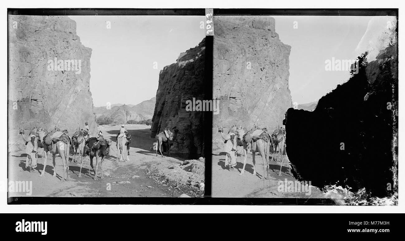 Ancient caravans Black and White Stock Photos & Images - Alamy