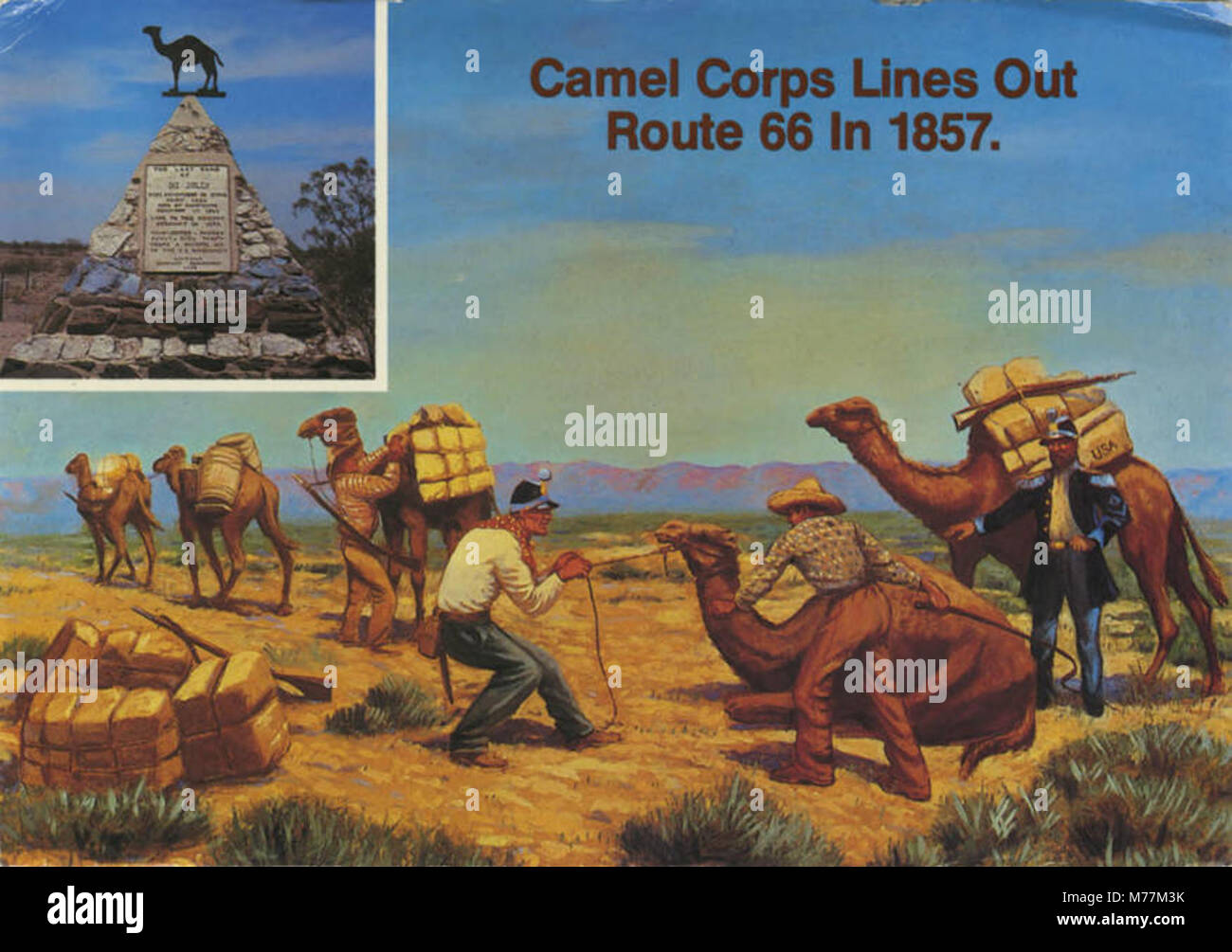 A photograph of the Camel Corps, showing camels used for military ...