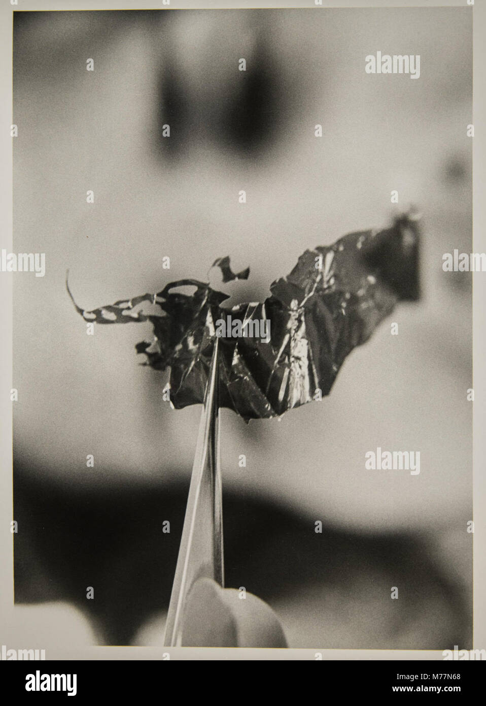 A photograph showcasing cartographic publishing of road maps ...