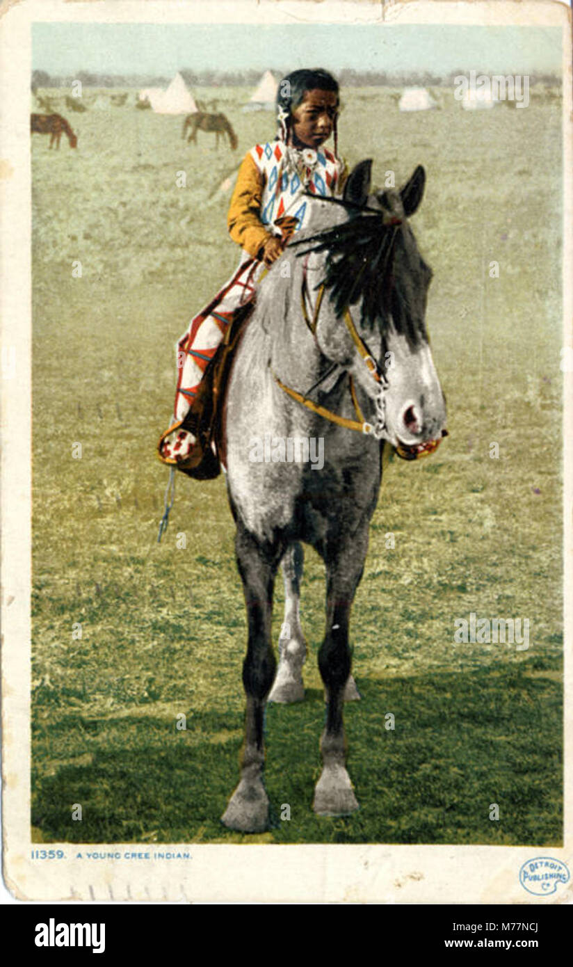 Cree indian hi-res stock photography and images - Alamy