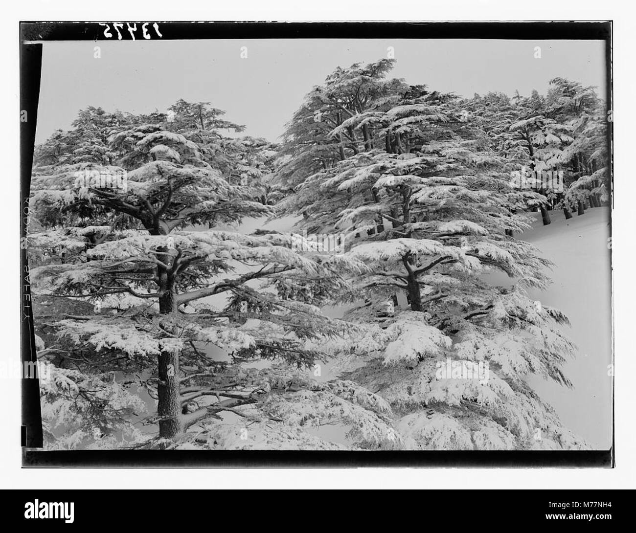 Creating serene Cut Out Stock Images & Pictures - Alamy