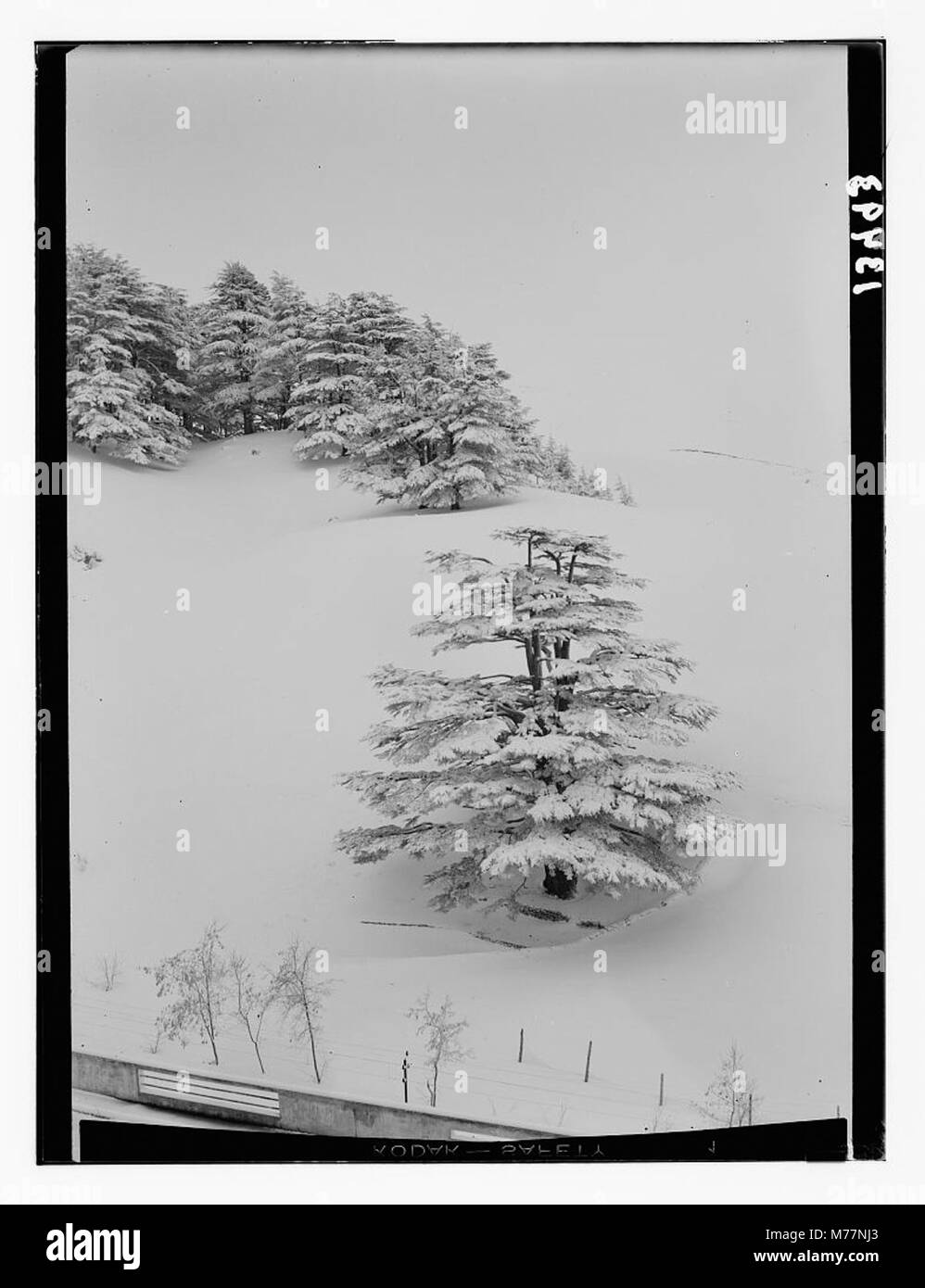 Views from window Black and White Stock Photos & Images - Alamy